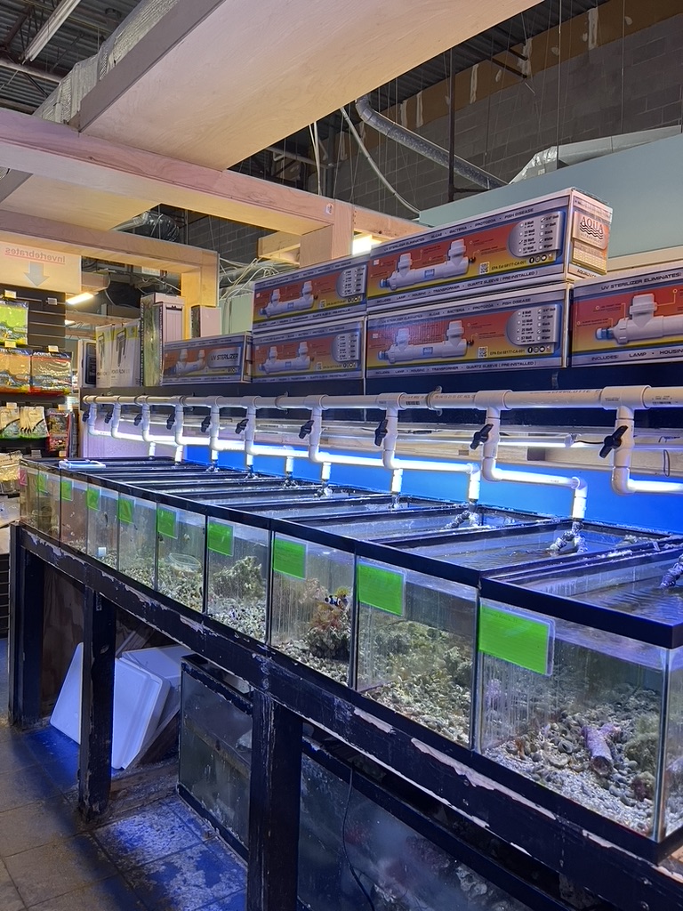 Store Tour - CTE Aquatics