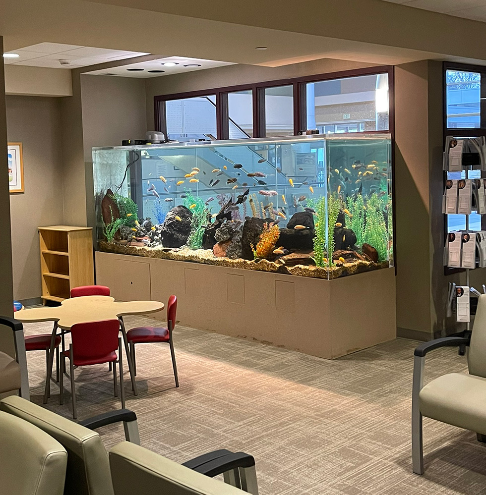 CTE Aquatics - A Baltimore Tropical Fish Store - Marine Fish