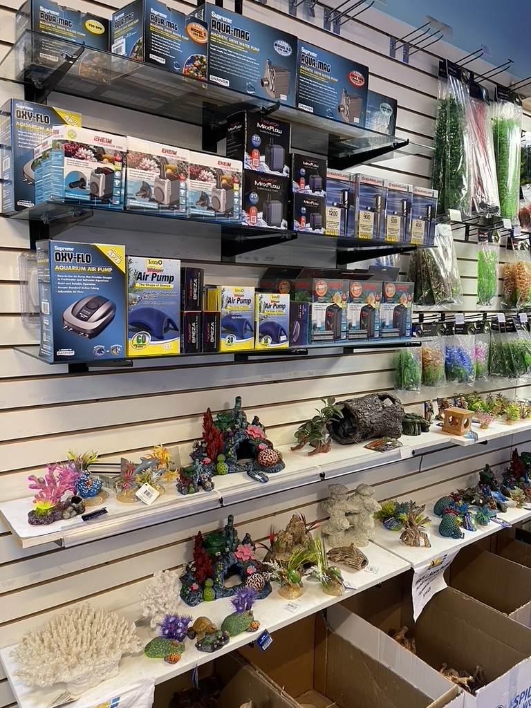 Store Tour - CTE Aquatics